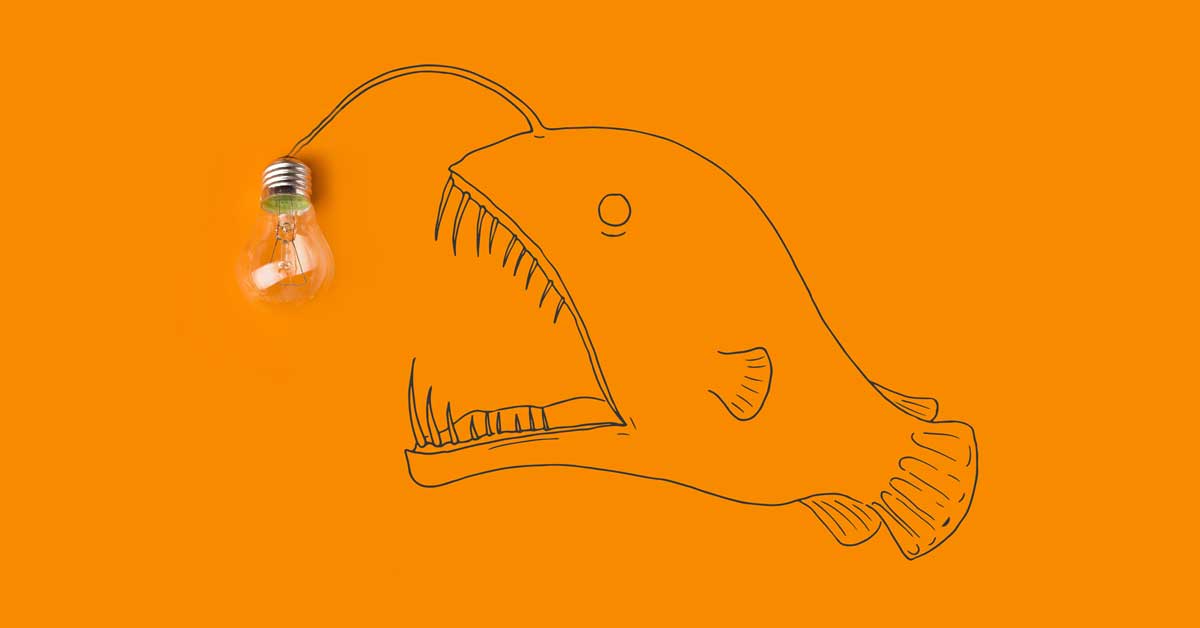 What, Me Worry? | STANFORD magazine