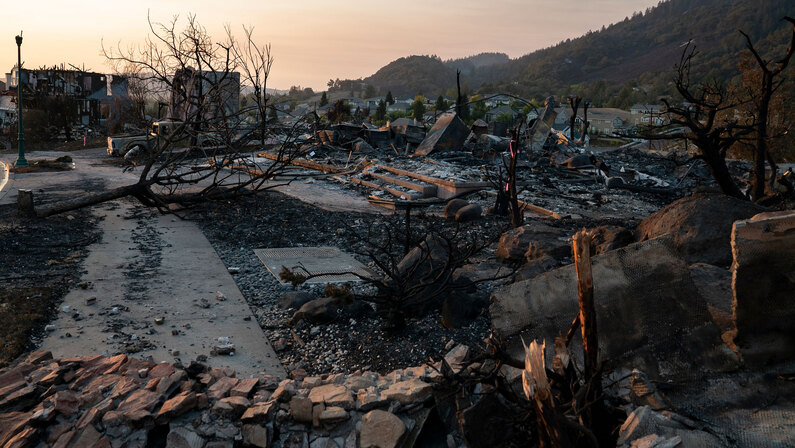 Dispatch from Santa Rosa | STANFORD magazine