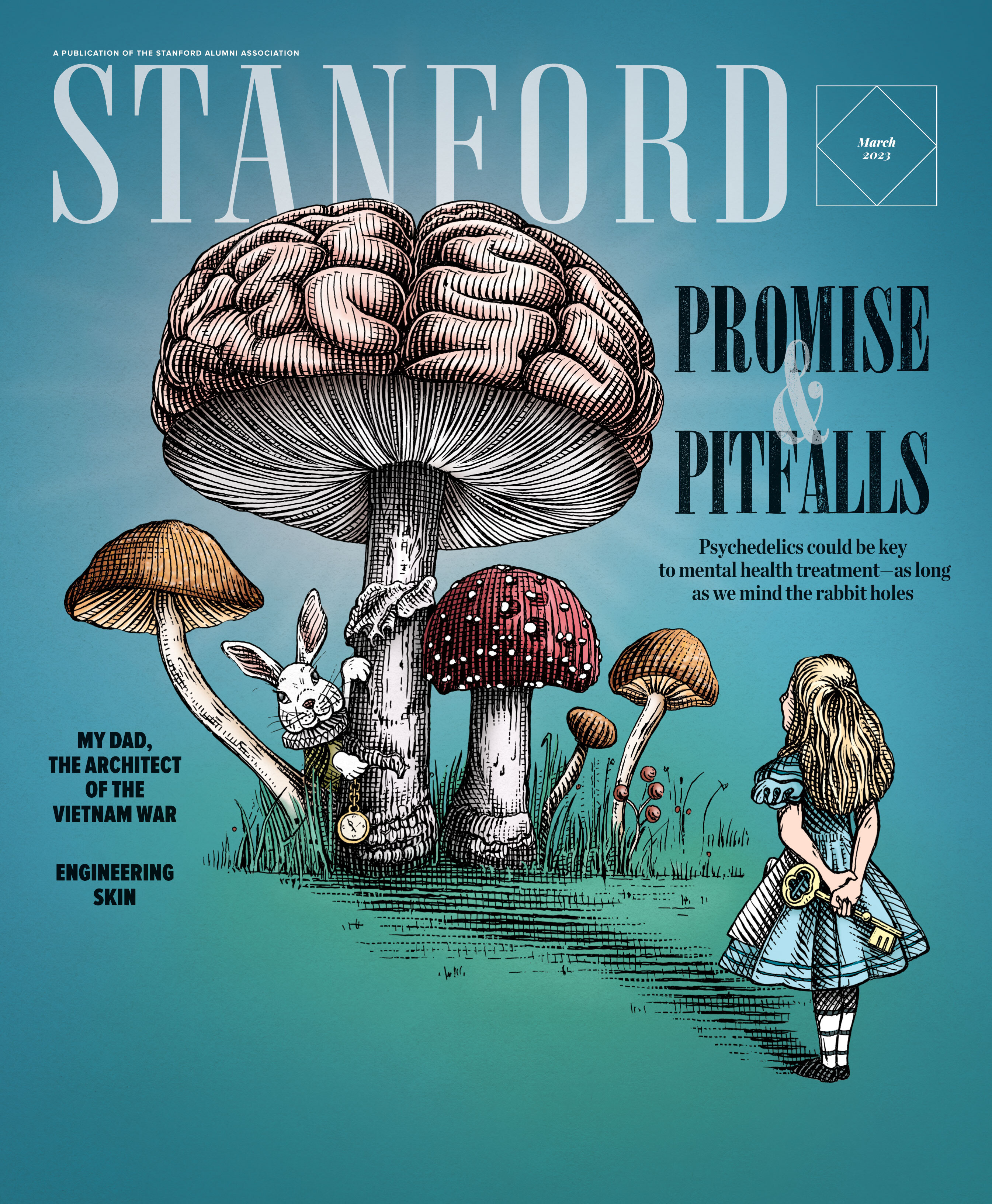 Falling for Psychedelics / March 2023 | STANFORD magazine